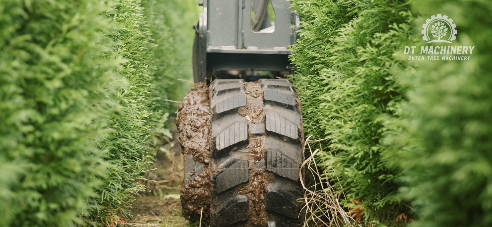 Kluitsteekmachines voor het rooien van bomen en planten